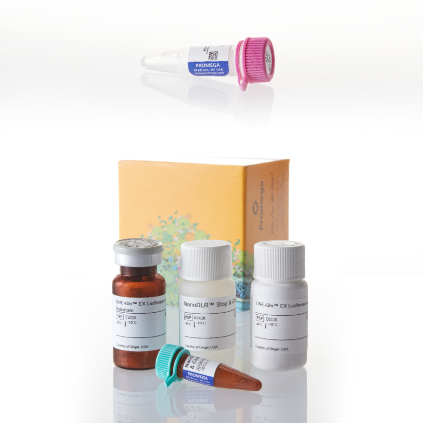 Nano-Glo Dual-Luciferase Reporter Assay System Nerliens Meszansky AS